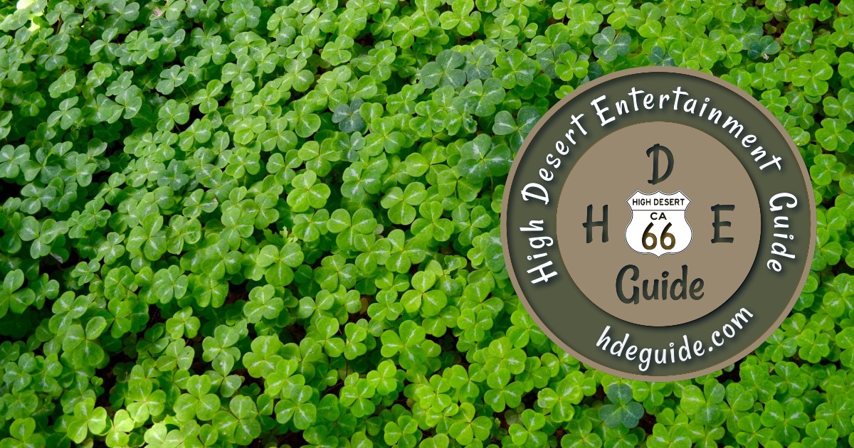 Events and Activities for March 2022 | High Desert Entertainment Guide